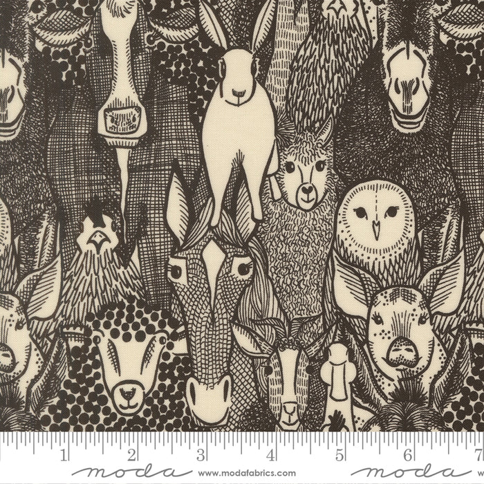 The Henhouse - Barnyard Faces Iron — Fabric Shack