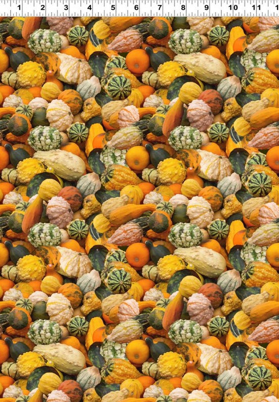 The Secret Life of Squirrels III - Gourds Multi — Fabric Shack