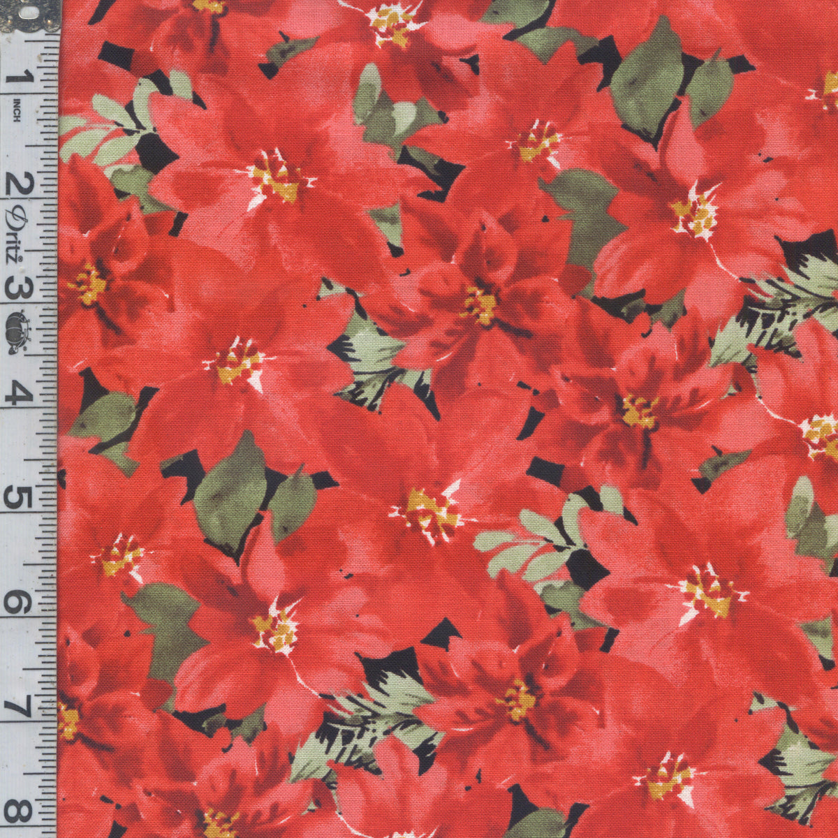 Cardinal Celebration - Packed Poinsettias Black — Fabric Shack